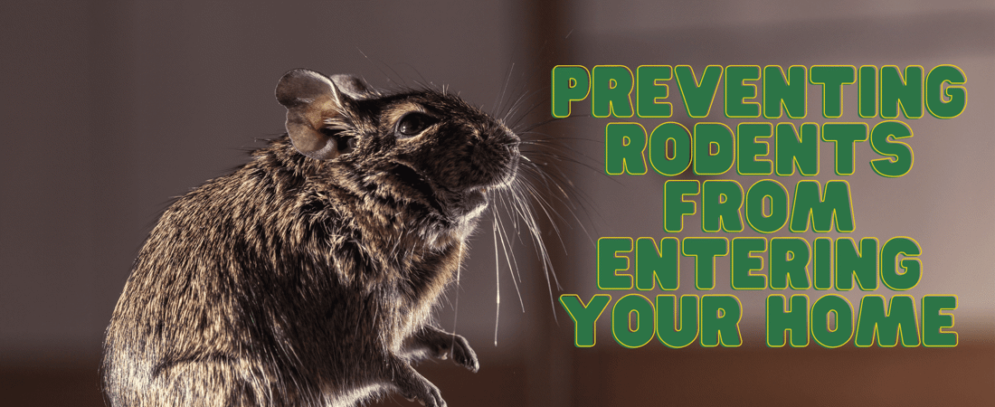 October 2023 Blogs | Exterminator Services in Hilton Head